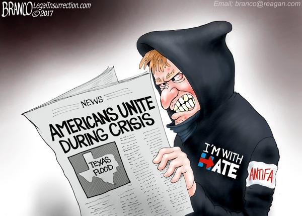 Americans Support Texas | A.F. Branco | Political Cartoon