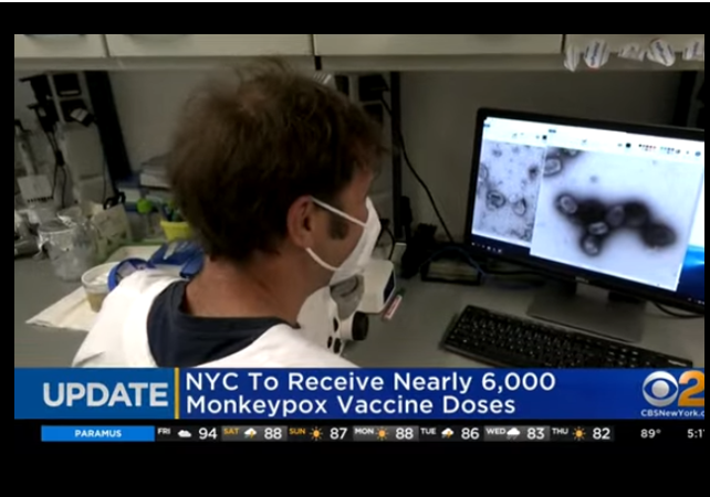 Monkeypox Cases in New York City Double in a Week