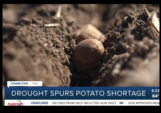 Potato Shortage Now Resulting in Rationing and Price Hikes