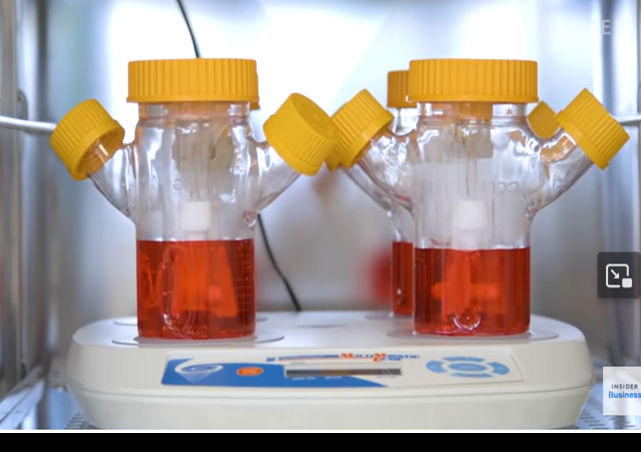 New Study Reveals Lab-Grown Meat Up to 25 Times Worse for Environment ...