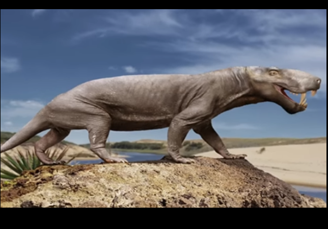 Scientists Find Evidence of What Could Be Earth’s First Mass Extinction ...