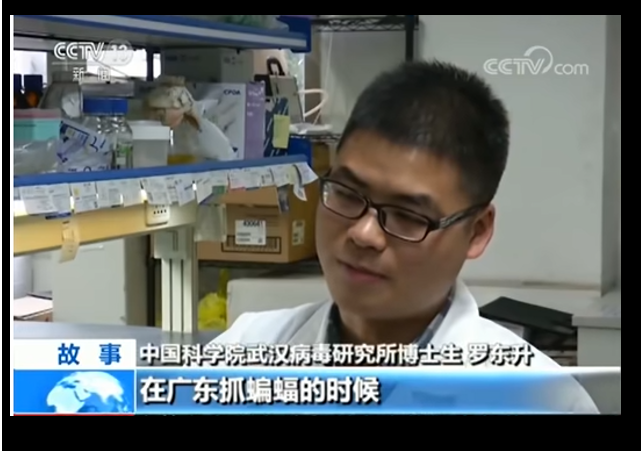 Covid Investigation Focus Shifts to Chinese Scientists at Wuhan ...