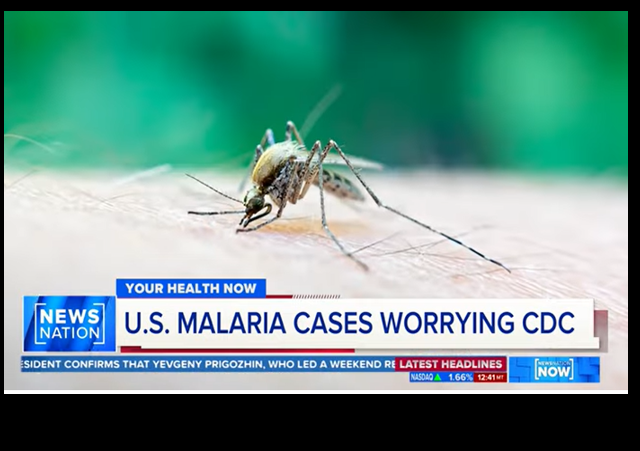 First Locally Acquired U.S. Malaria Cases in 20 Years Reported in Texas ...