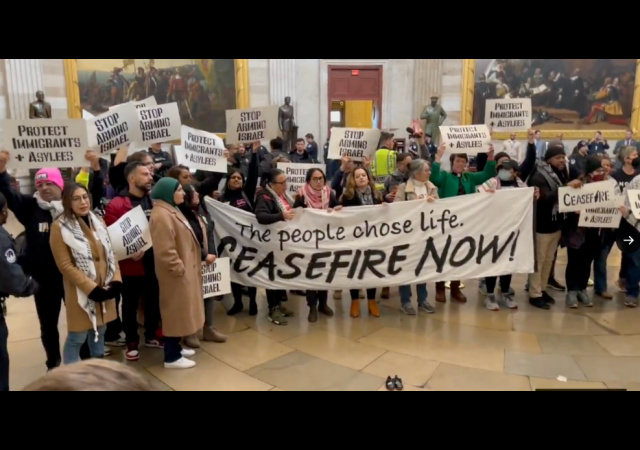 Anti-Israel Protesters Seize Capitol Hill Rotunda, Including Linda Sarsour