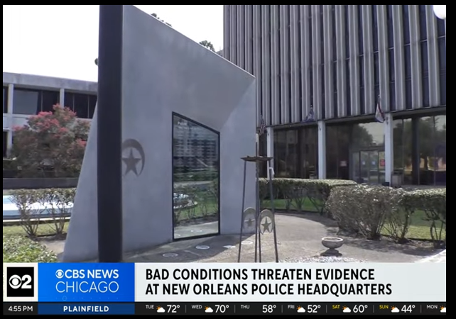 Rats Get High by Eating Marijuana Evidence Stored at New Orleans Police ...