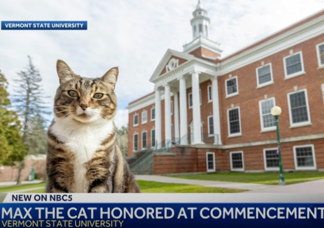 Vermont State University Awards Doctorate to Friendly Cat