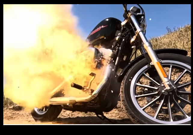 Harley-Davidson Drops DEI Initiatives After Customer Outrage Over Inane ...