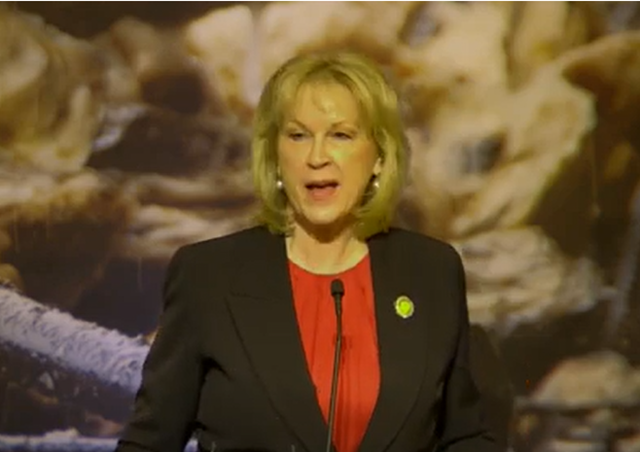 This Is How It’s Done: Alaska’s Lt. Gov. Nancy Dahlstrom Deals Democrat ...
