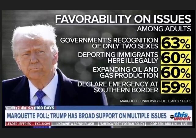 Dem Political Resistance To Trump 20 Focused On Fighting Highly 9562