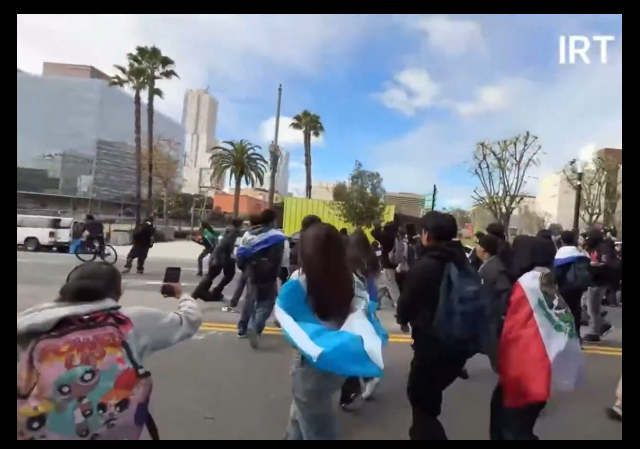 Hispanic Man Stabbed at Anti-ICE ‘Student’ Protest in Los Angeles