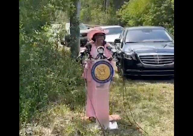 Rep. Frederica Wilson Urges People to ‘Threaten’ Lawmakers Over ...