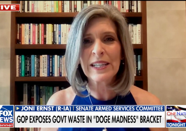 Sen. Joni Ernst Wants IRS to Audit Its Workers Annually
