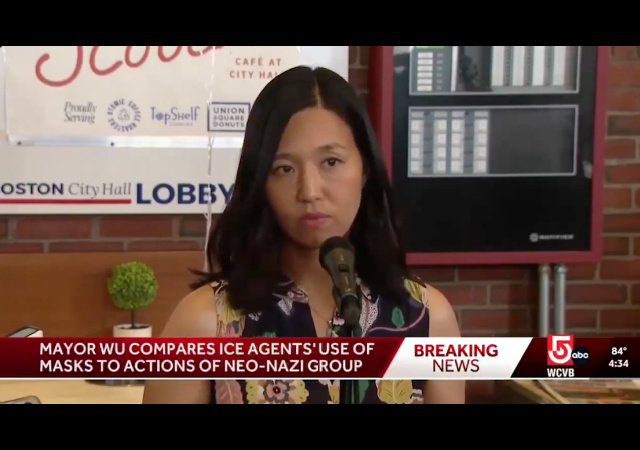 DHS, White House Lash Out at Boston Mayor Who Compared ICE Agents to ...