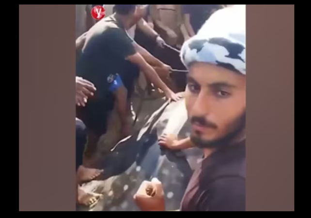 Gazans Capture and Slaughter Endangered Whale Shark