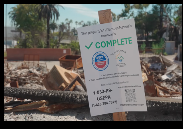 75% of Pacific Palisades Fire Victims Still Stuck in Temporary Housing